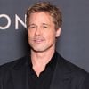 Brad Pitt fordert Dokumente von Angelina im Weingut-Streit