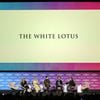 Diese neue Netflix-Serie erinnert stark an "The White Lotus"