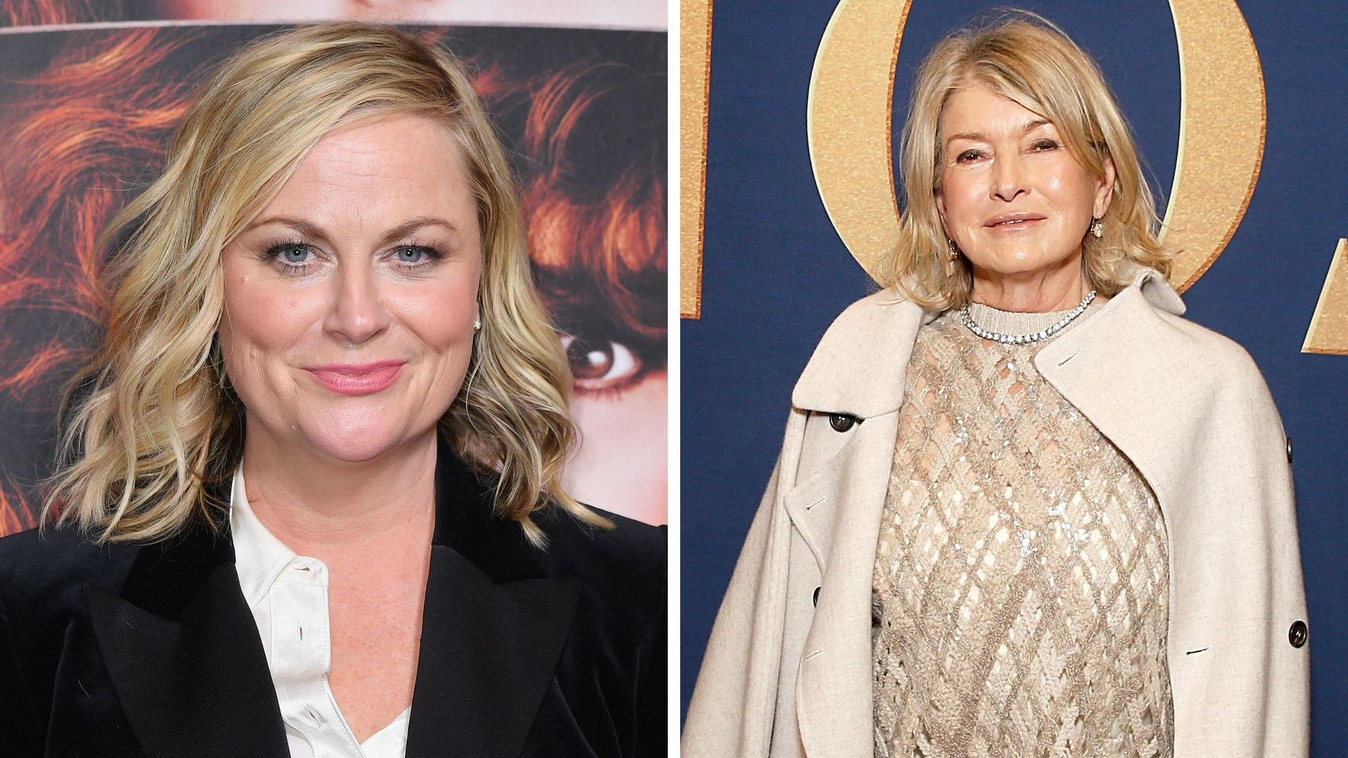 Amy Poehler holt Martha Stewart aus Angst nicht zu Podcast