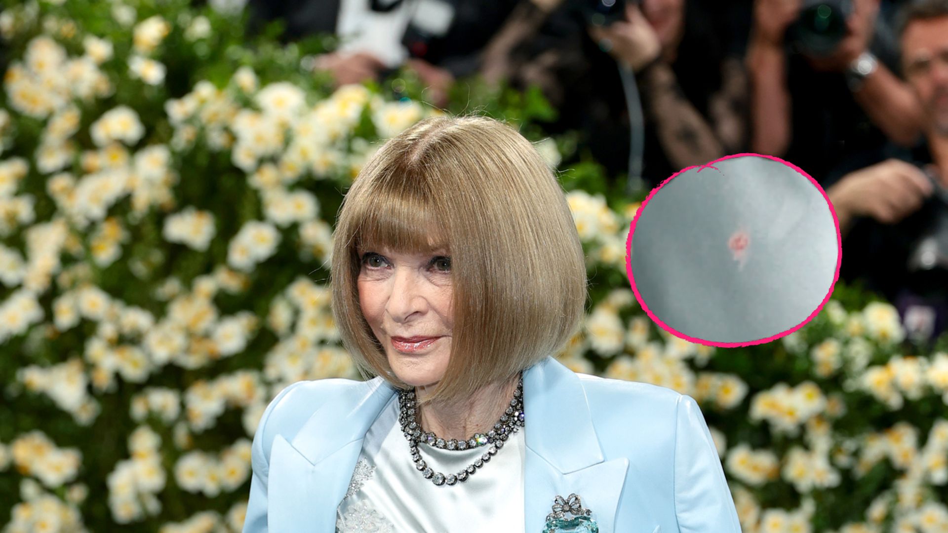 Anna Wintours Kleid auf Met Gala hatte einen roten Fleck