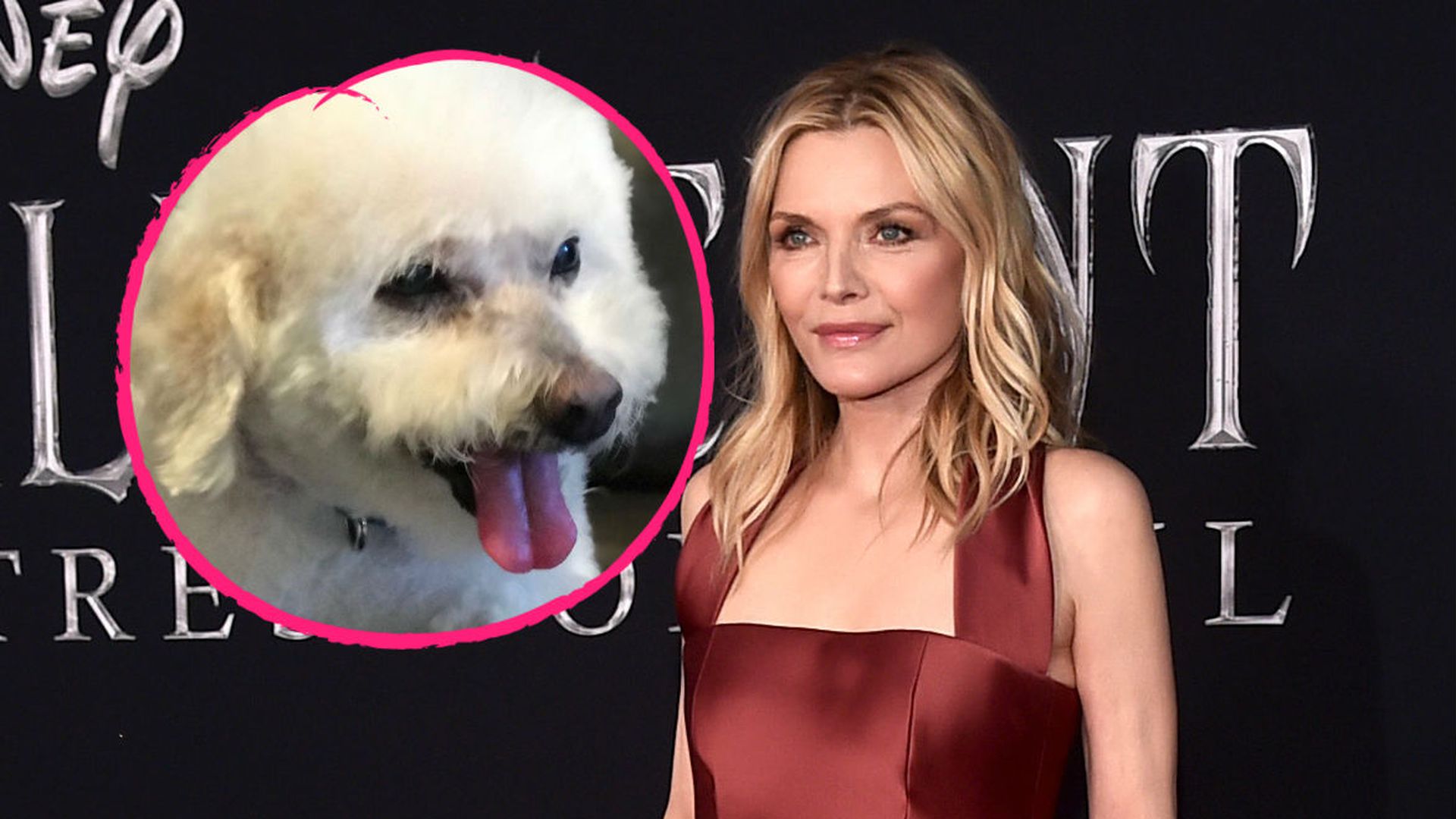 Michelle Pfeiffer trauert um ihren toten Hund Freddie