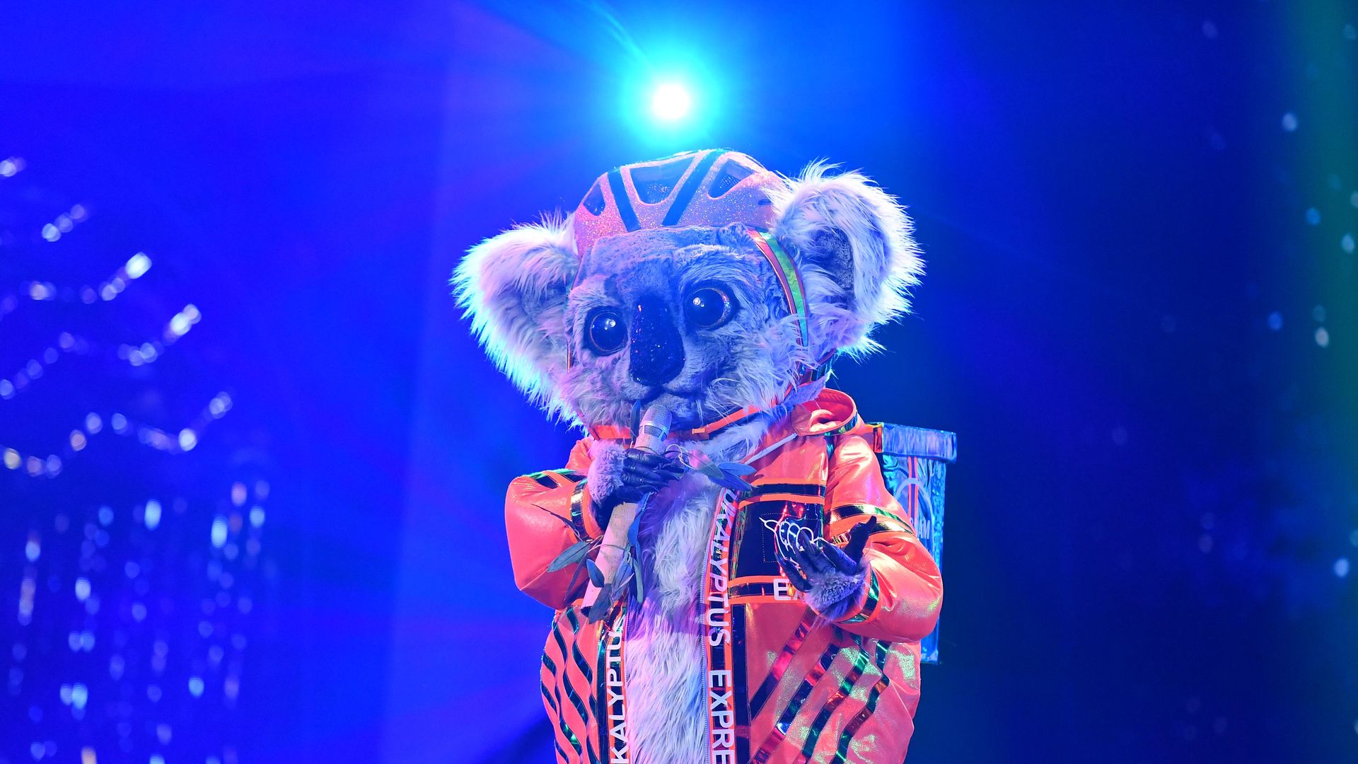 Enttarnt! Dieser UK-Star war der "The Masked Singer"-Koala