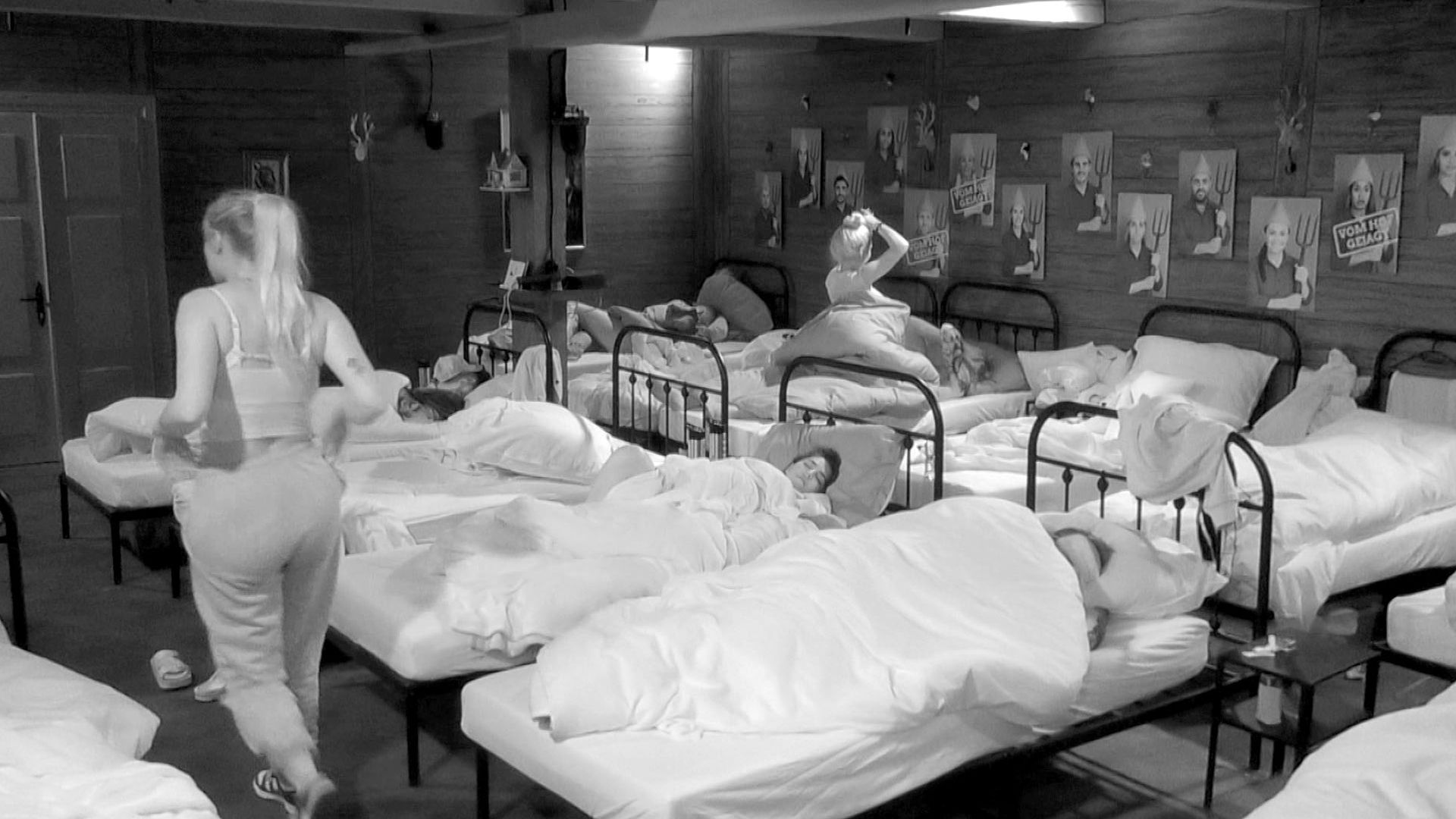 "No-Go": Promihof-Stars genervt von Tim und Emmas Fummelei