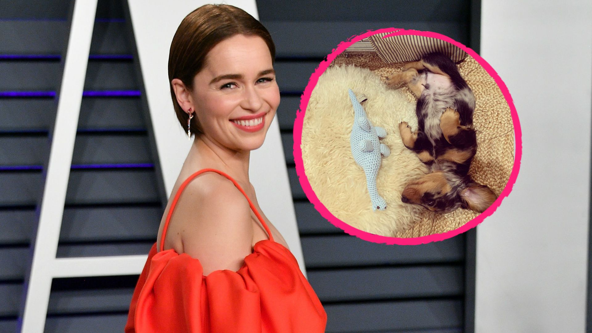 Hündchen Ted Emilia Clarke Total Vernarrt In Neuen Welpen