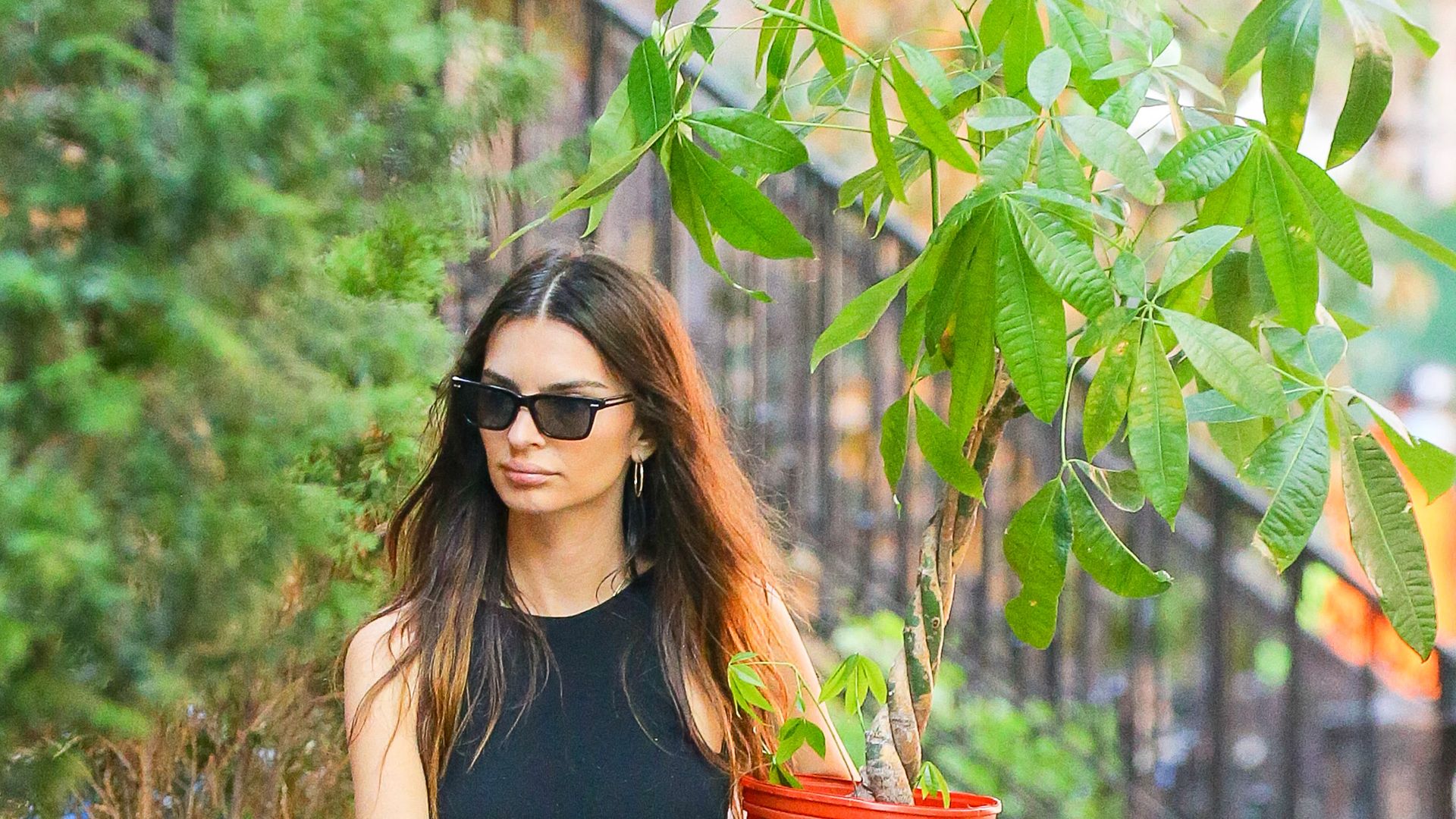 Tatsächlich von Mann betrogen? Emily Ratajkowski zieht aus!