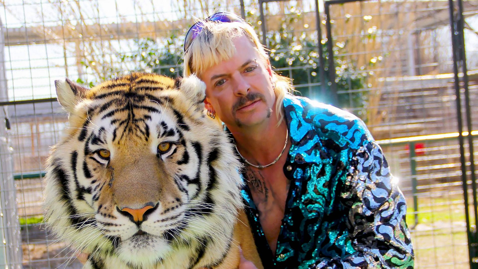 Joe Exotic landet wegen Social-Media-Posts in Einzelhaft