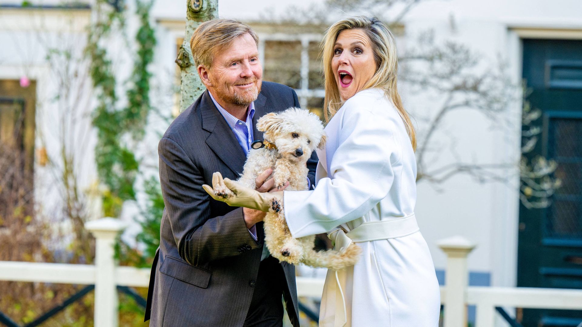 Hund Mambo sorgt bei den niederländischen Royals für Lacher