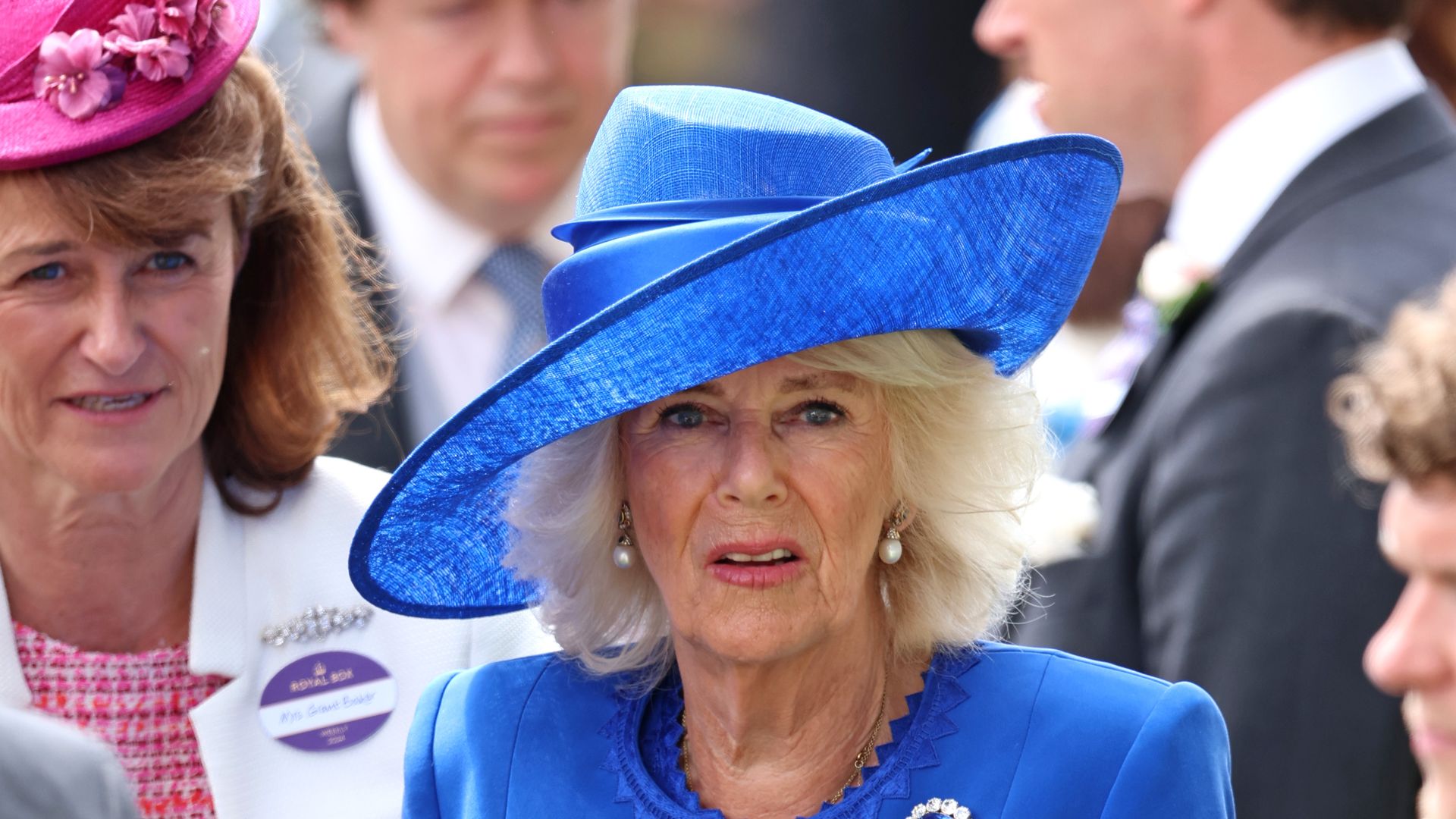 Königin Camillas Stylistin verbot Royals, Blau zu tragen!