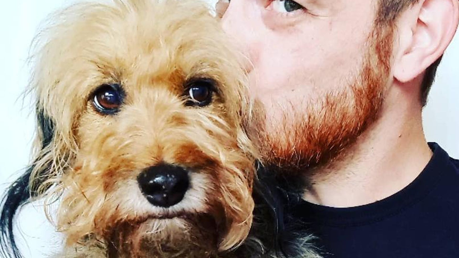 Nach Stinker: "Unter uns" heißt neuen Serienhund willkommen