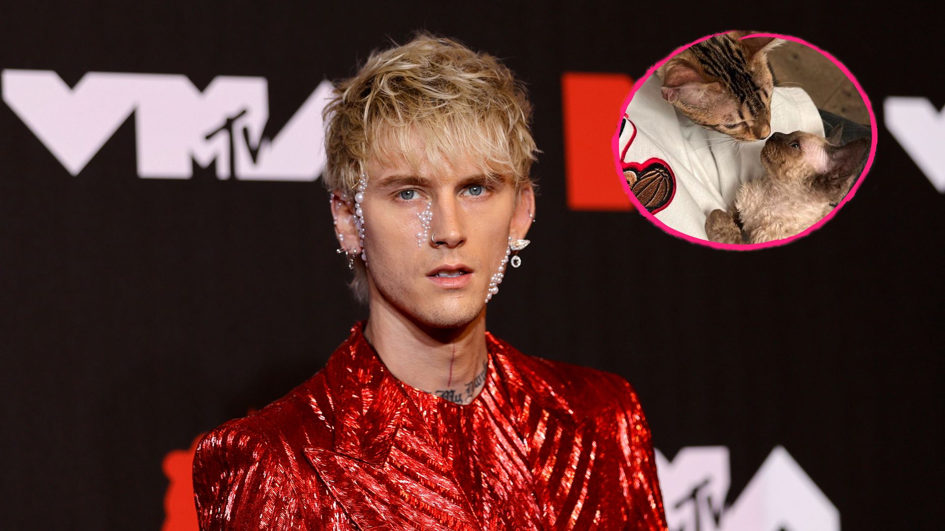 Niedlich! Machine Gun Kelly hat sich zwei Fellnasen zugelegt