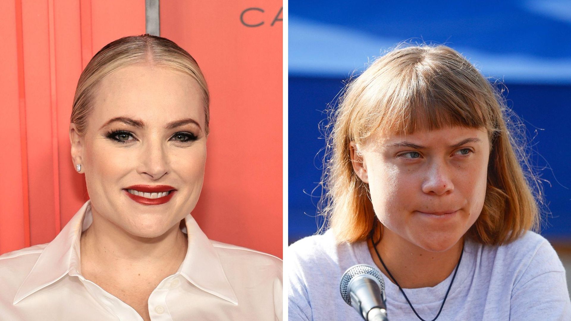 Meghan McCain vergleicht Greta Thunberg mit "Shrek"-Figur