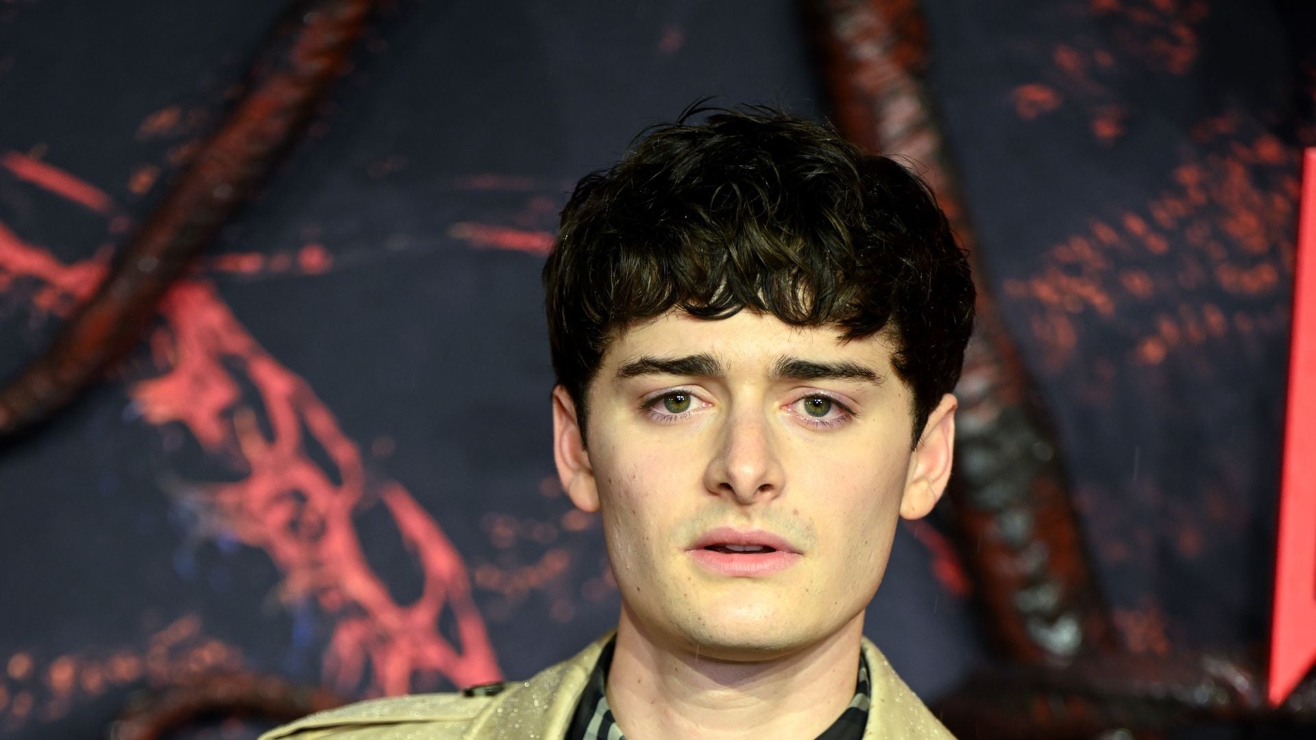 Noah Schnapp feiert einmonatige Beziehung mit neuem Freund