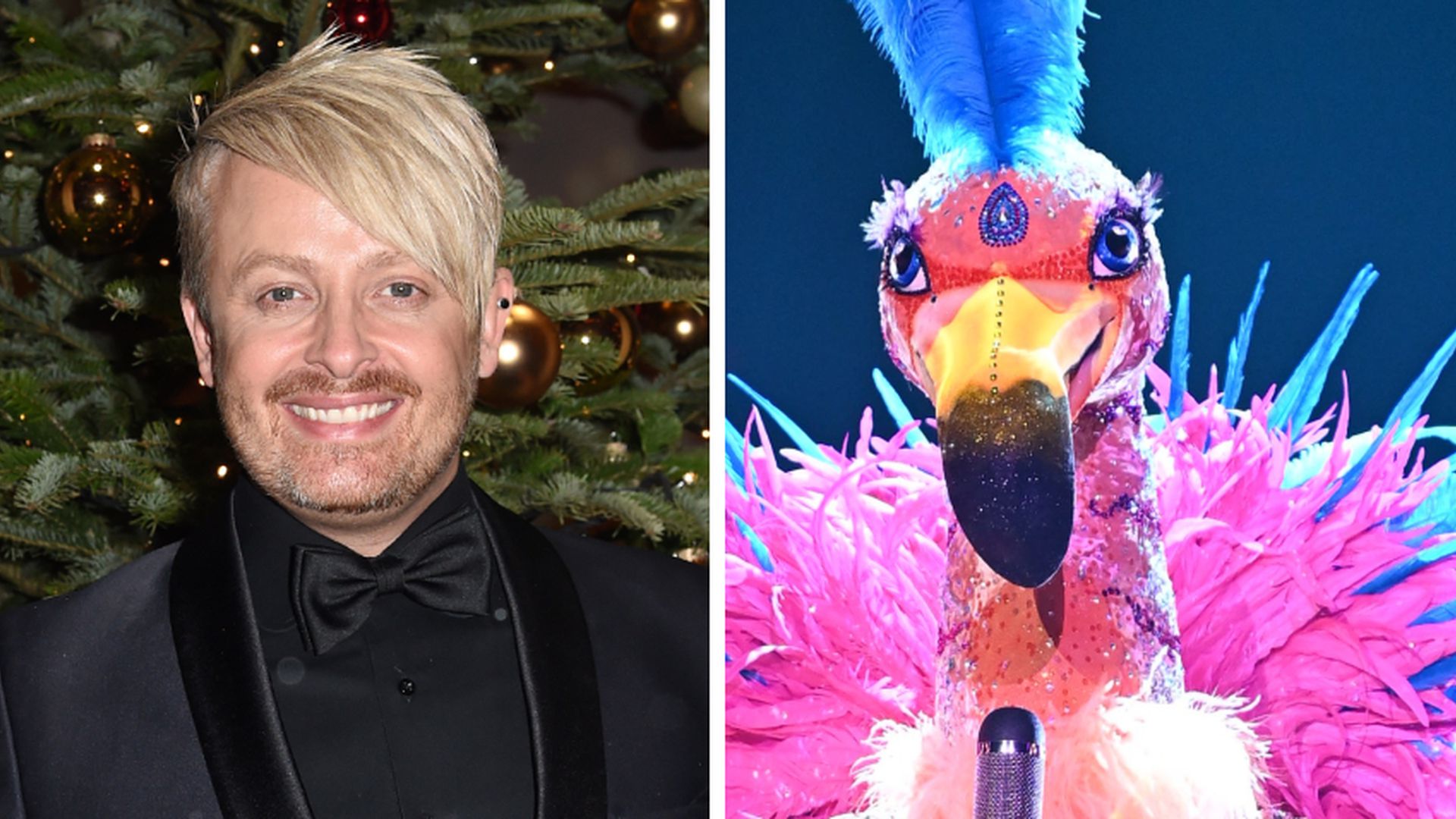 Enttarnt? Hier singt Ross "The Masked Singer"-Flamingo-Hit