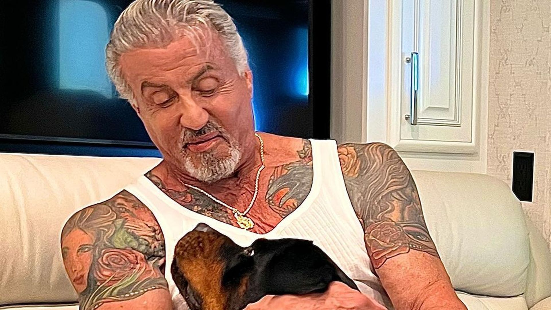 Sylvester Stallones Ehe-Aus: Ist Hund Schuld an Trennung?