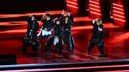 BTS-Konzert: Polizei stoppt Fans mit Schockern und Waffen