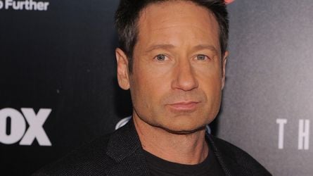 Gillian Anderson bringt Kumpel David Duchovny zum Erröten