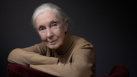 Vivian Schmitt nach "Die Alm"-Dreh knapp fünf Kilo leichter