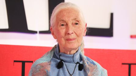 Diesen Film von sich findet Arnold Schwarzenegger peinlich