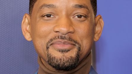 Will Smith erlebte Dramatisches beim Eistauchen in Arktis